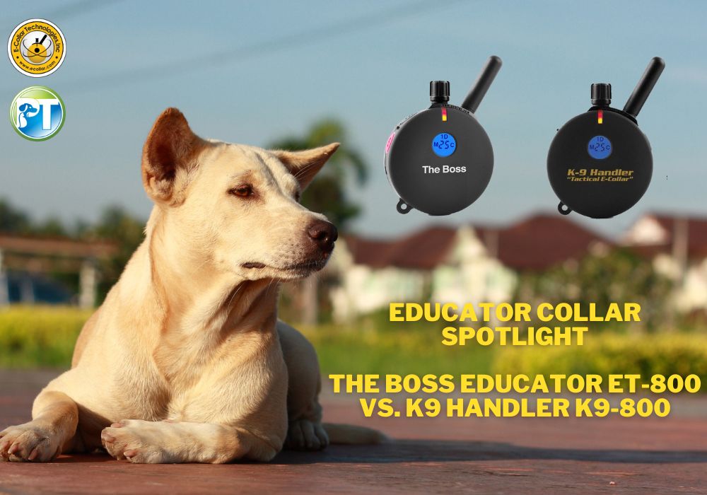 E-Collar Spotlight: The Boss Educator ET-800 vs K9 Handler K9-800 – PetsTEK