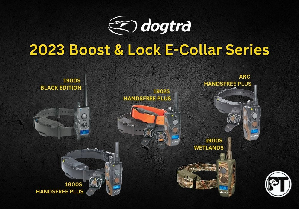 Dogtra Highlight: The NEW Boost & Lock E-Collar Series – PetsTEK
