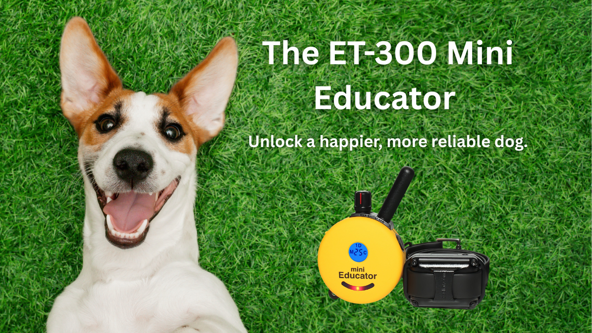 ET-300 Mini Educator: The Key to a Happier, Better-Behaved Dog – PetsTEK