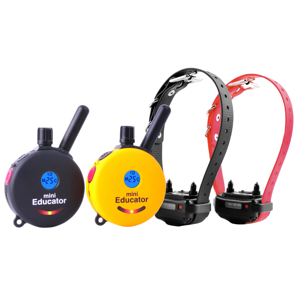 Mini Educator ET-302 2T Remote Dog Training Collar with 2 Transmitters ...