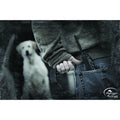 SportDOG - SD-2525 - ProHunter 2525 - 2 Miles - Remote Training Collar
